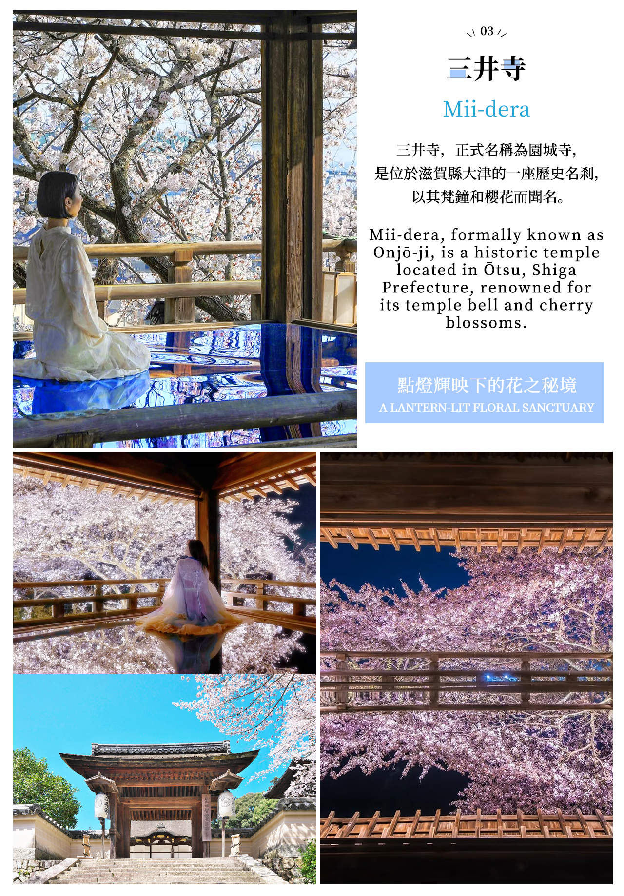 [Sakura Season Limited] Miho Museum × Mii-dera Temple Night Cherry ...